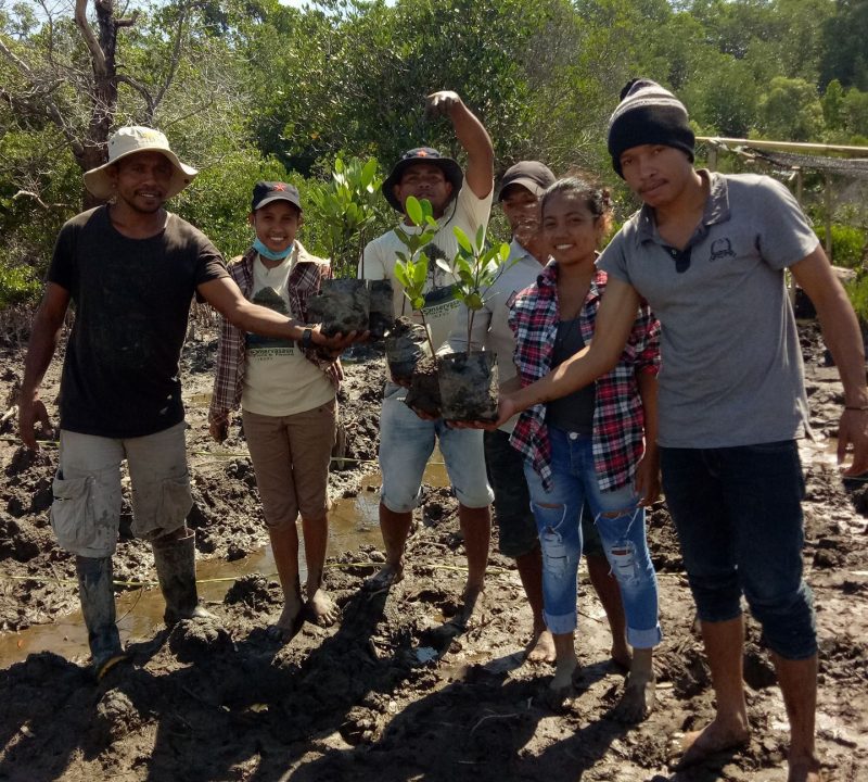 KFF Kuda tan Ai-Parapa 200 Resin - Konservasaun Flora no Fauna
